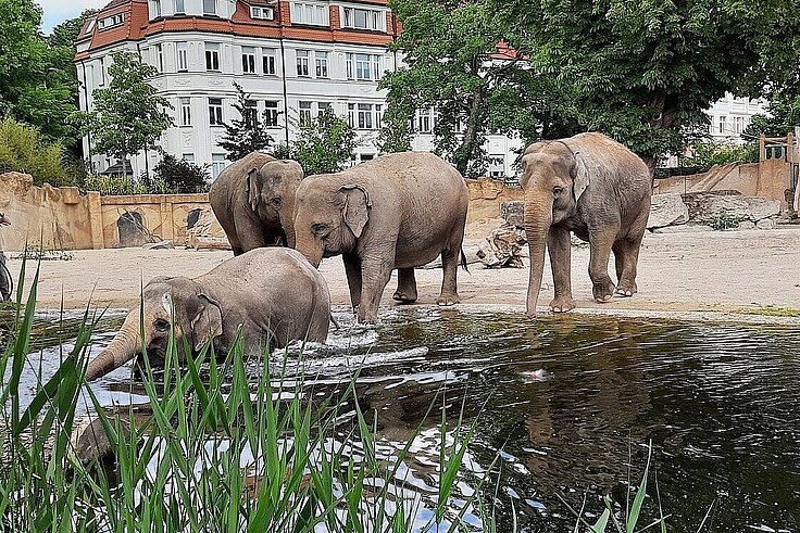 Willkommen im Zoo Leipzig | Der Natur auf der Spur.